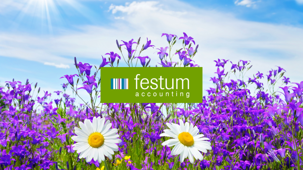 Kesäbingo on julkaistu! – Festum Accounting